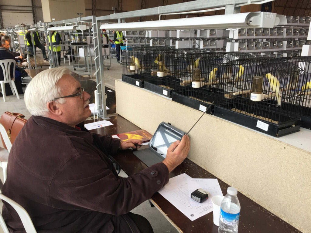 Union ornithologique de France, l'association de tous les éleveurs d'oiseaux d'élevage