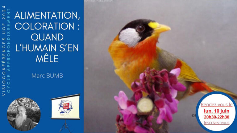 Alimentation, coloration : quand l’humain s’en mêle – Union ...