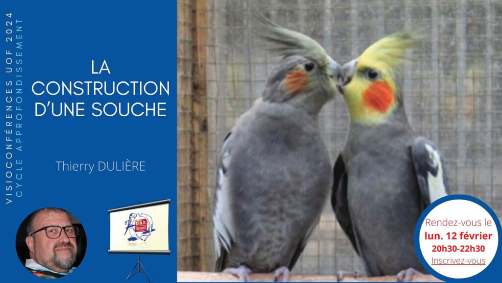 La construction d’une souche – Union Ornithologique de France